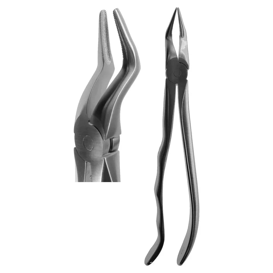 #151 Root Forceps (Profile Handle) [Z-2138] – HampMED